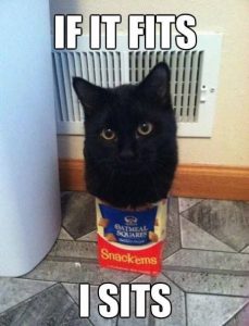 The 101 Best Cat Memes Ever Made - LOL Cats